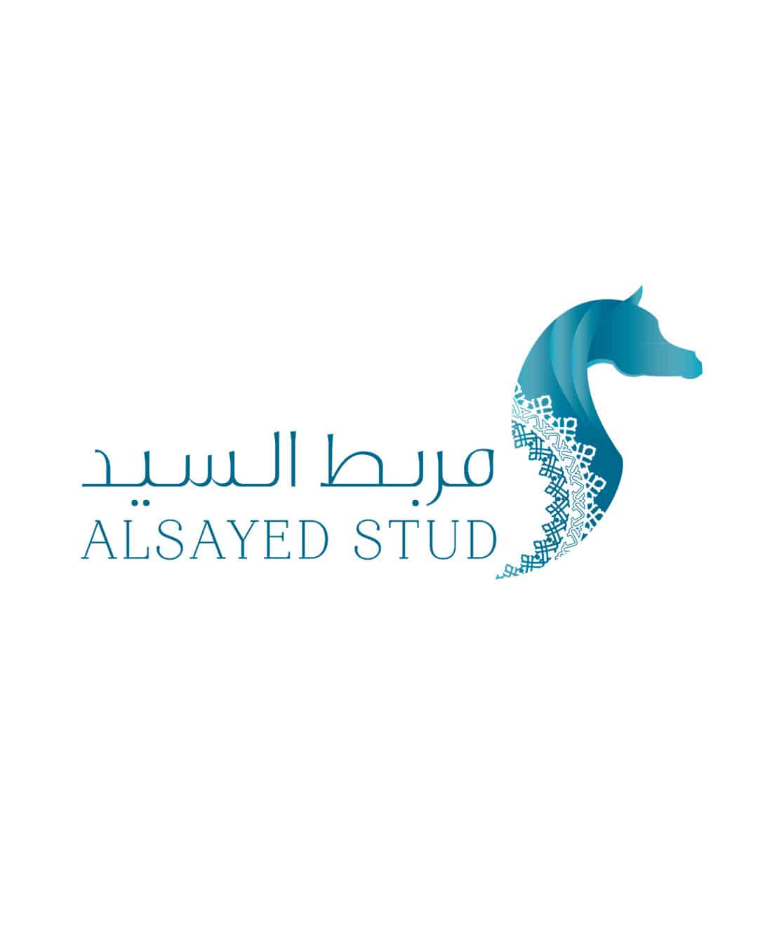 ALSAYED STUD - Arabian Insider