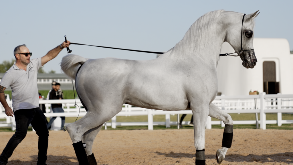 RAWDAT ETHANYA - The first ever Open Day - Arabian Insider